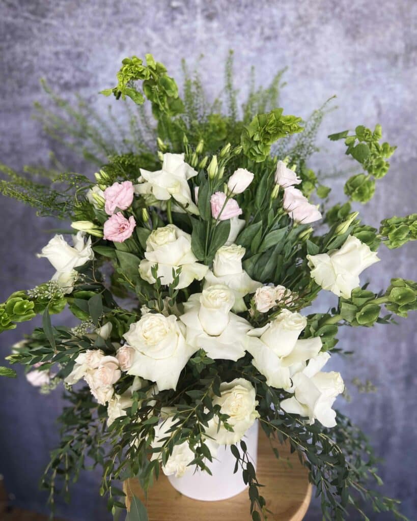 Designer Choice - Sympathy | Sun Moon & Bloom