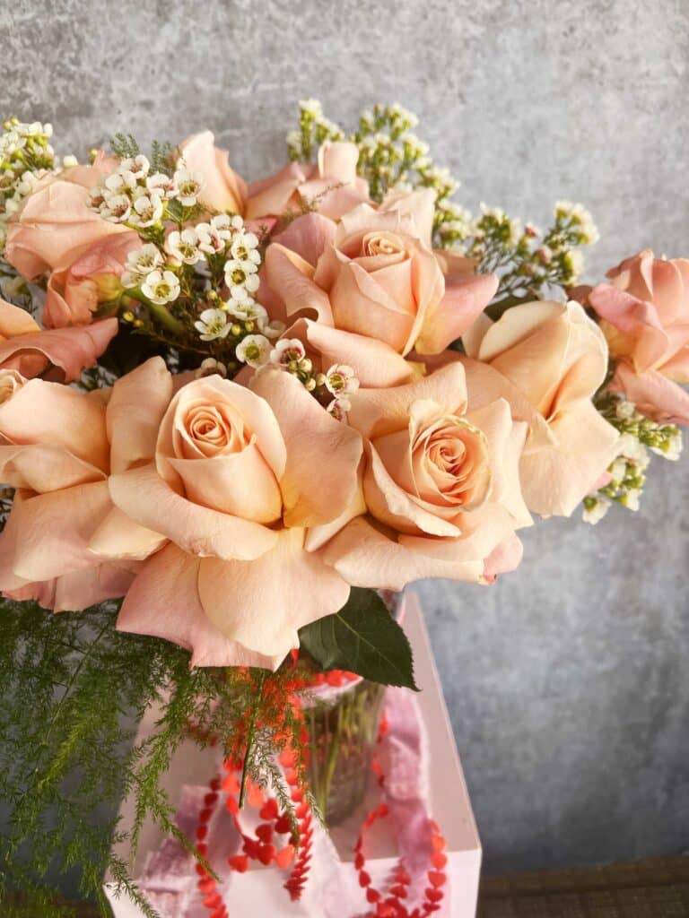 All Shook Up Roses | Sun Moon & Bloom