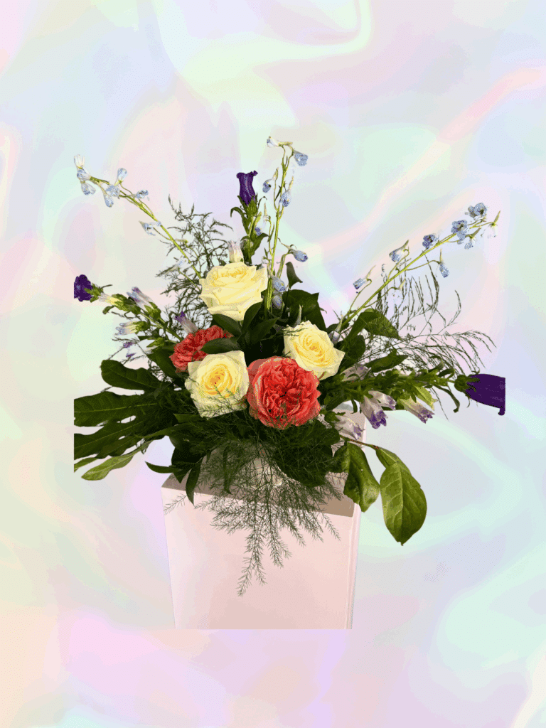 I Got It From My Mom | Sun Moon & Bloom